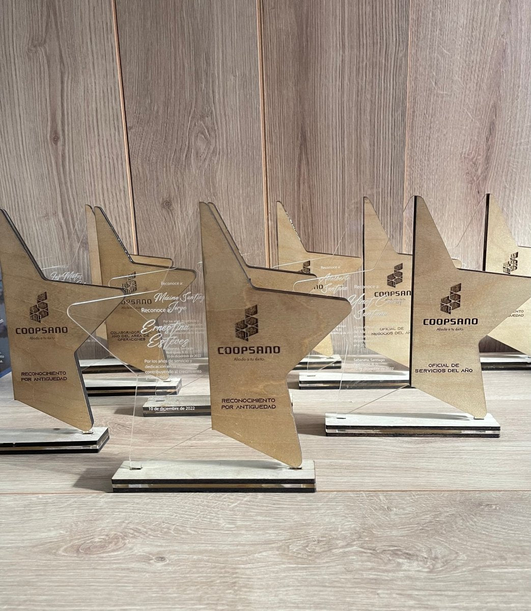 Reconocimientos Acrilico y madera – Page 5 – Felt Craft RD